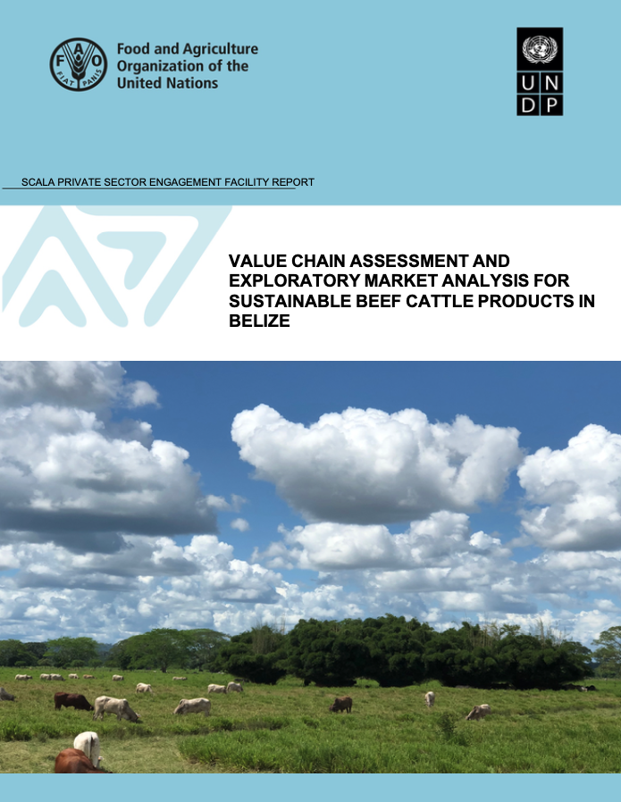 Value chain assessment and exploratory market analysis for sustainable beef cattle products in ...